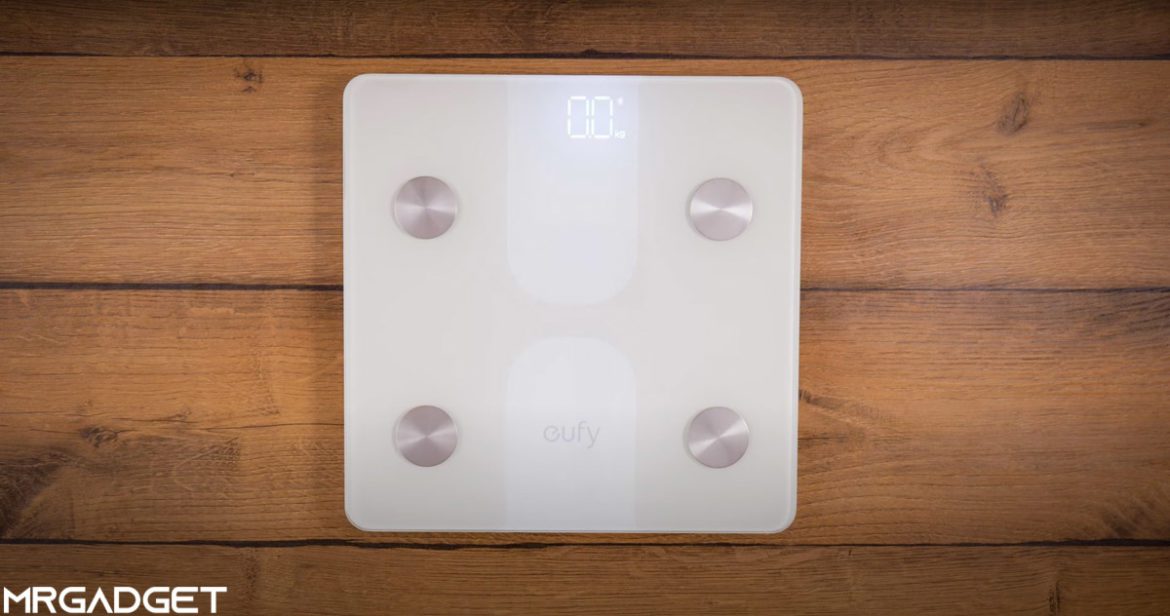The 5 Best Smart Scales to Buy in Australia 2024 - Mr Gadget